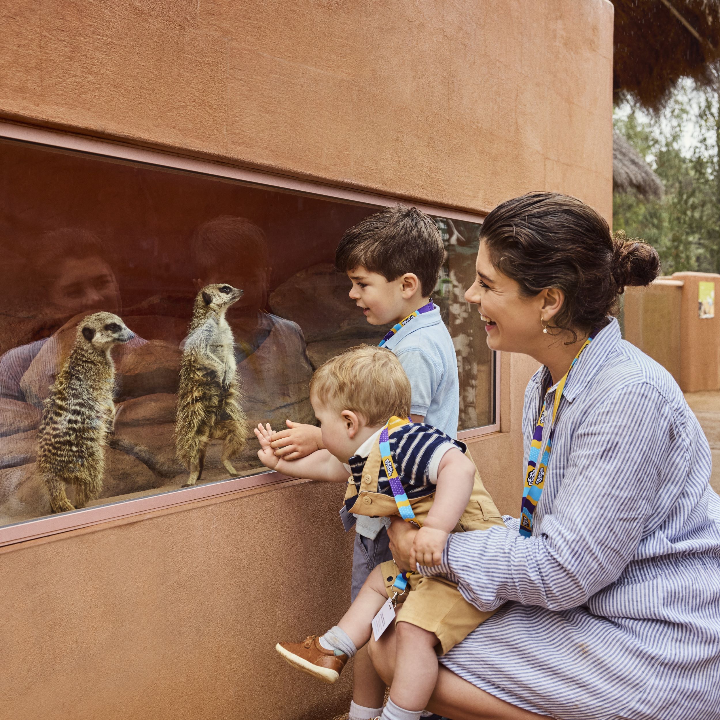 Ticket Prices & Concessions | Taronga Western Plains Zoo Dubbo ...